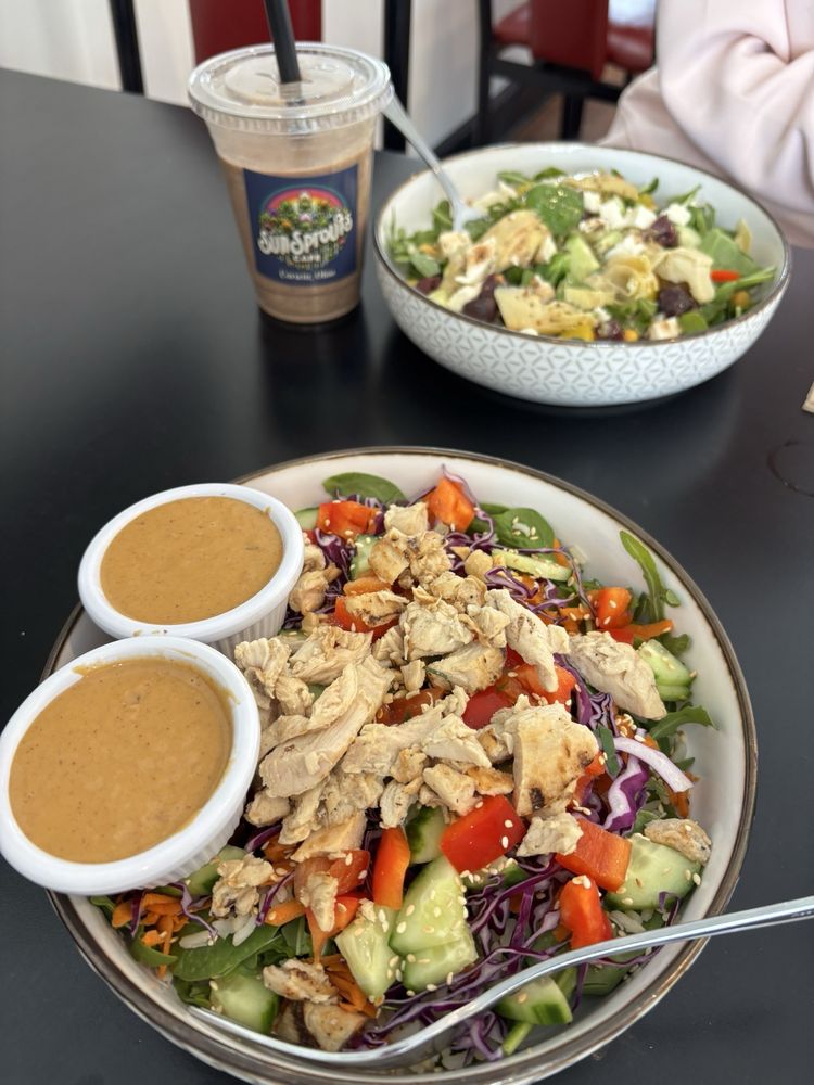 SUN SPROUTS CAFE - Updated April 2026 - 29 Photos & 16 Reviews - 69 ...