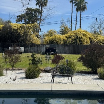 VALENCIA LANDSCAPING AND TREE SERVICES - Updated September 2024 - 20 ...