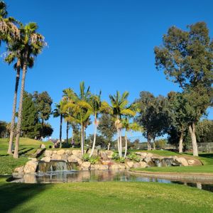 BALBOA PARK GOLF COURSE - Updated January 2025 - 149 Photos & 162 ...