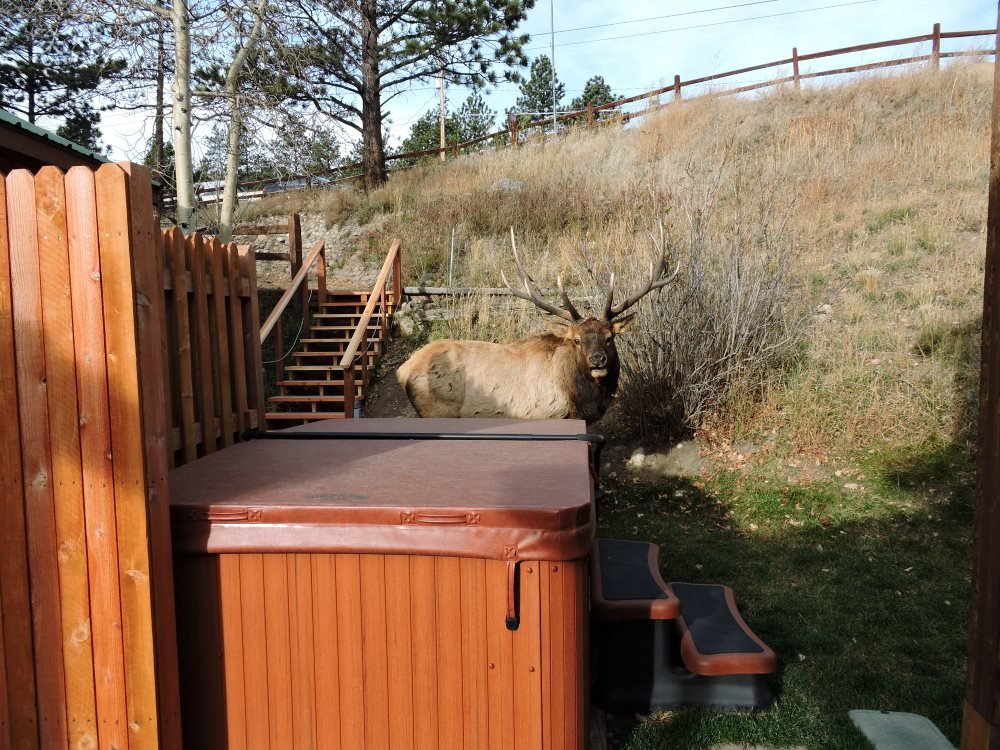 WIND RIVER SPAS - Updated January 2026 - 66 Photos & 71 Real Reviews ...