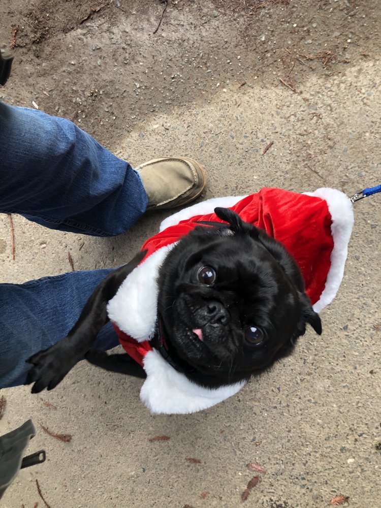 NAVARRO GENERAL STORE - Updated December 2024 - 15 Photos & 21 Reviews ...