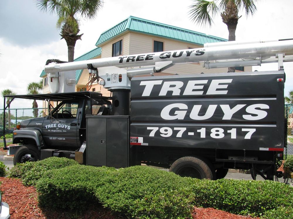 TREE GUYS OF ST AUGUSTINE - Updated October 2025 - 24 Photos - 467 ...