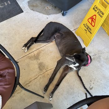 HALTER RANCH - Updated December 2025 - 77 Photos & 25 Reviews - 8561 US ...