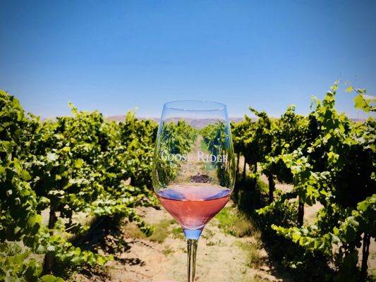 GOOSE RIDGE VINEYARDS - Updated August 2024 - 90 Photos & 65 Reviews ...