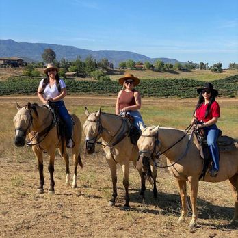 WINE COUNTRY TRAILS BY HORSEBACK - Updated April 2025 - 455 Photos ...