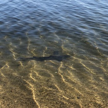 SHELL BEACH - Updated December 2025 - 35 Photos & 17 Reviews - Tomales ...