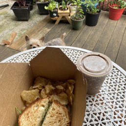 CAFE ROWAN - 281 Photos & 188 Reviews - Food near Portland, OR - Yelp