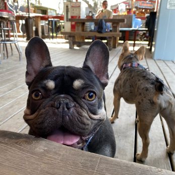 MANCHACA SPRINGS SALOON - Updated September 2025 - 40 Photos & 16 ...