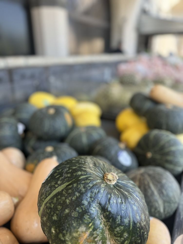 SUPER KING MARKET - Updated March 2025 - 235 Photos & 355 Reviews ...