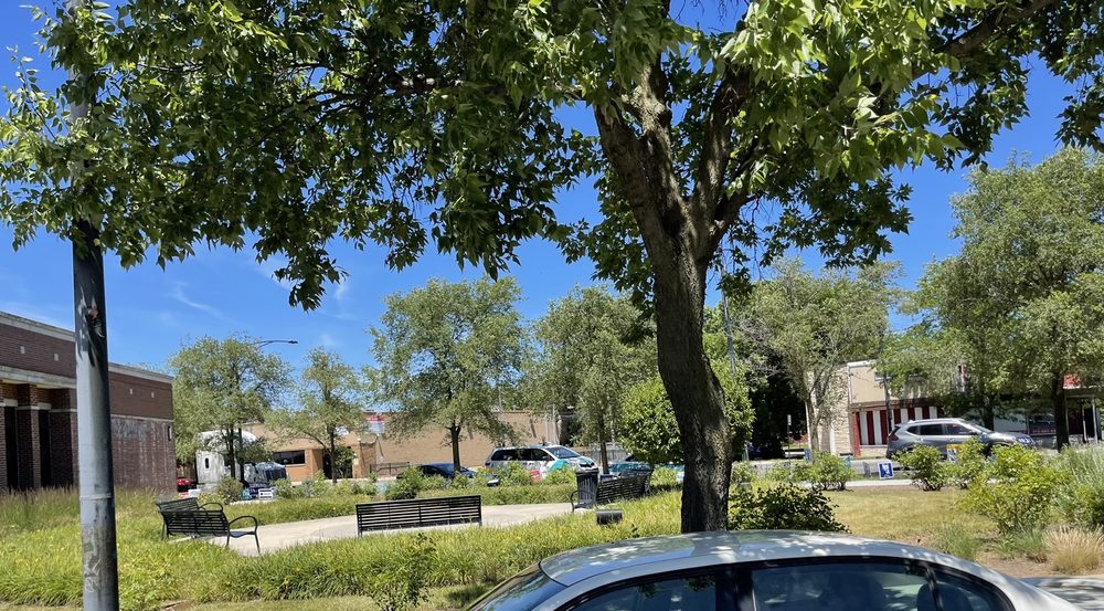 BUDLONG WOODS BRANCH - CHICAGO PUBLIC LIBRARY - Updated September 2025 ...