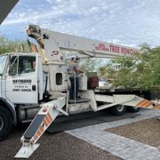 HAYWARD TREE SERVICE - 103 Photos & 115 Reviews - Phoenix, AZ - Yelp