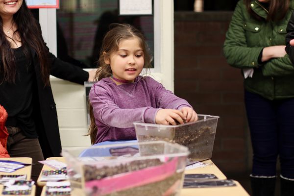 PILGRIM SCHOOL - Updated January 2026 - 52 Photos & 27 Reviews - 540 S ...