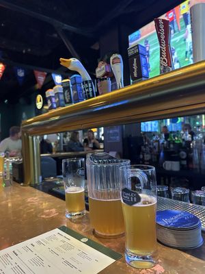 DUBLIN CALLING - Updated January 2026 - 66 Photos & 56 Reviews - 900 ...