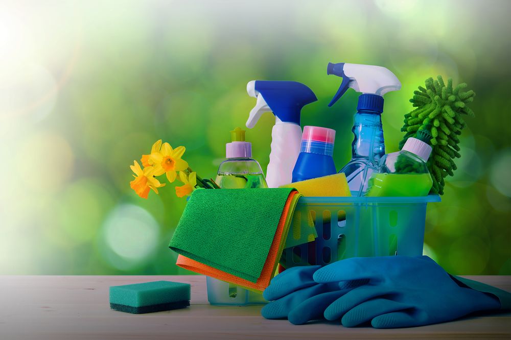 WIZARD CLEAN - Updated August 2024 - 117 E Court St, Cambridge ...