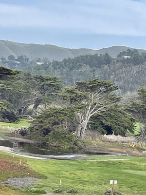 SHARP PARK GOLF COURSE - Updated January 2026 - 153 Photos & 188 ...