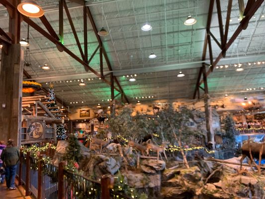 BASS PRO SHOPS - 123 Photos & 130 Reviews - Outdoor Gear - 1 Bass Pro ...