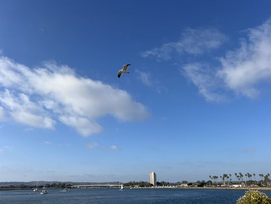 CAT JETTY - Updated May 2025 - 156 Photos & 13 Reviews - 2510 Quivira ...