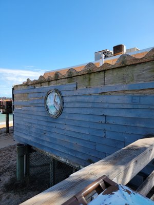 FUNKY PELICAN - 562 Photos & 552 Reviews - 215 Hwy A1A, Flagler Beach ...