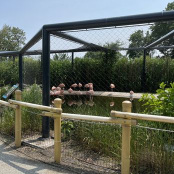 ROGER WILLIAMS PARK ZOO - Updated September 2024 - 1157 Photos & 295 ...