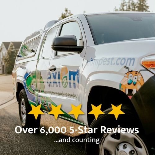 AXIOM ECO-PEST CONTROL - Updated May 2025 - 35 Photos & 279 Reviews ...