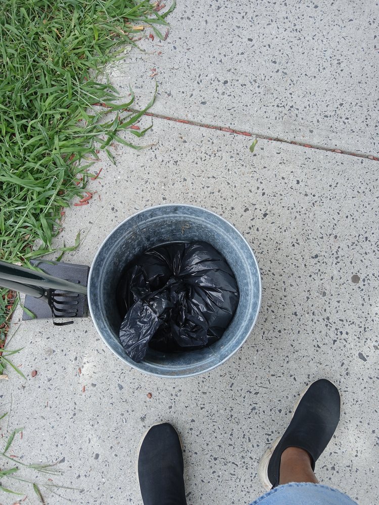 MERGIES POOP AND SCOOP - Request Information - 10 Photos - Springfield ...