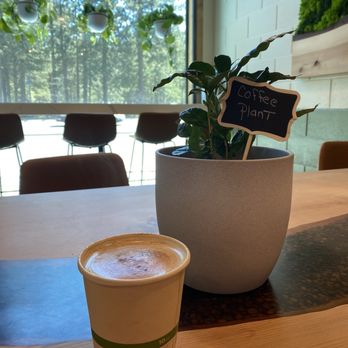 THREE PINES COFFEE - Updated June 2024 - 31 Photos & 25 Reviews - 3115 ...