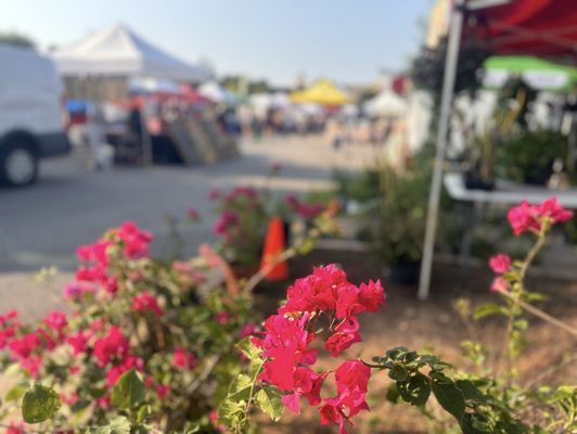 WOLF RANCH FARMER’S MARKET - Updated January 2026 - 77 Photos & 17 ...