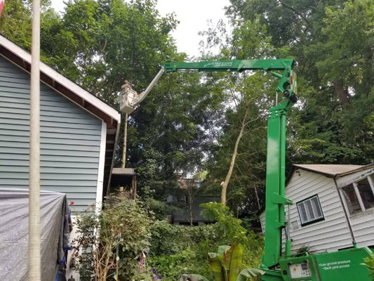 TRI-COUNTY TREE SERVICE - Updated October 2025 - 20 Photos & 14 Reviews - Dowell, Maryland ...