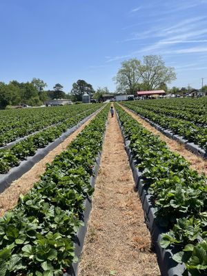PORTER FARMS & NURSERY - Updated January 2026 - 22 Photos & 13 Reviews ...