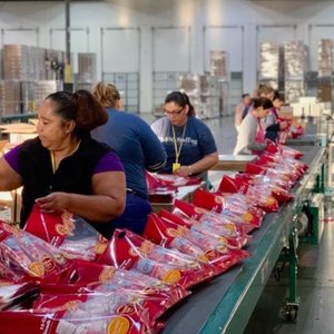 LYNEER STAFFING SOLUTIONS - Updated February 2025 - 14 Reviews - 10660 ...