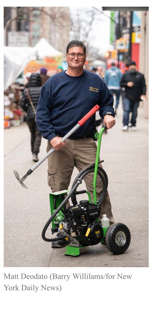 URBAN PEST MANAGEMENT - Updated August 2025 - Brooklyn, New York - Pest ...