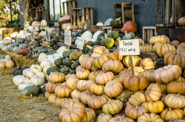 VISTA RANCH - Updated October 2025 - 7326 E Hwy 140, Merced, California ...