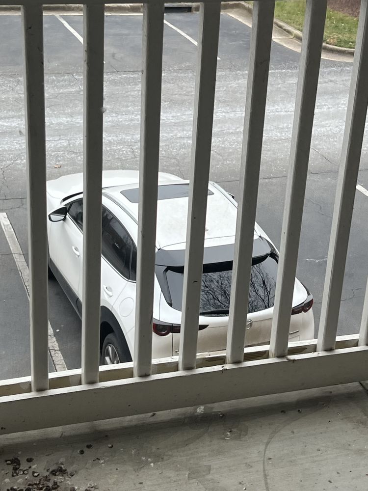 SAFE AUTO GLASS - Updated October 2025 - 10 Reviews - Raleigh, North ...