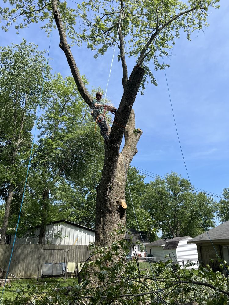 1ST CHOICE TREE SERVICE’S - Updated May 2025 - Owensboro, Kentucky ...