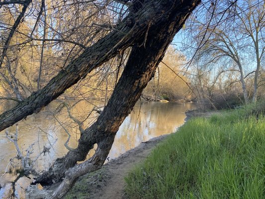 MAVIS STOUFFER PARK - Updated July 2025 - 40 Photos & 25 Reviews - 960 ...