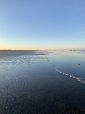 GRAYLAND BEACH STATE PARK - 44 Photos & 30 Reviews - 925 Cranberry ...