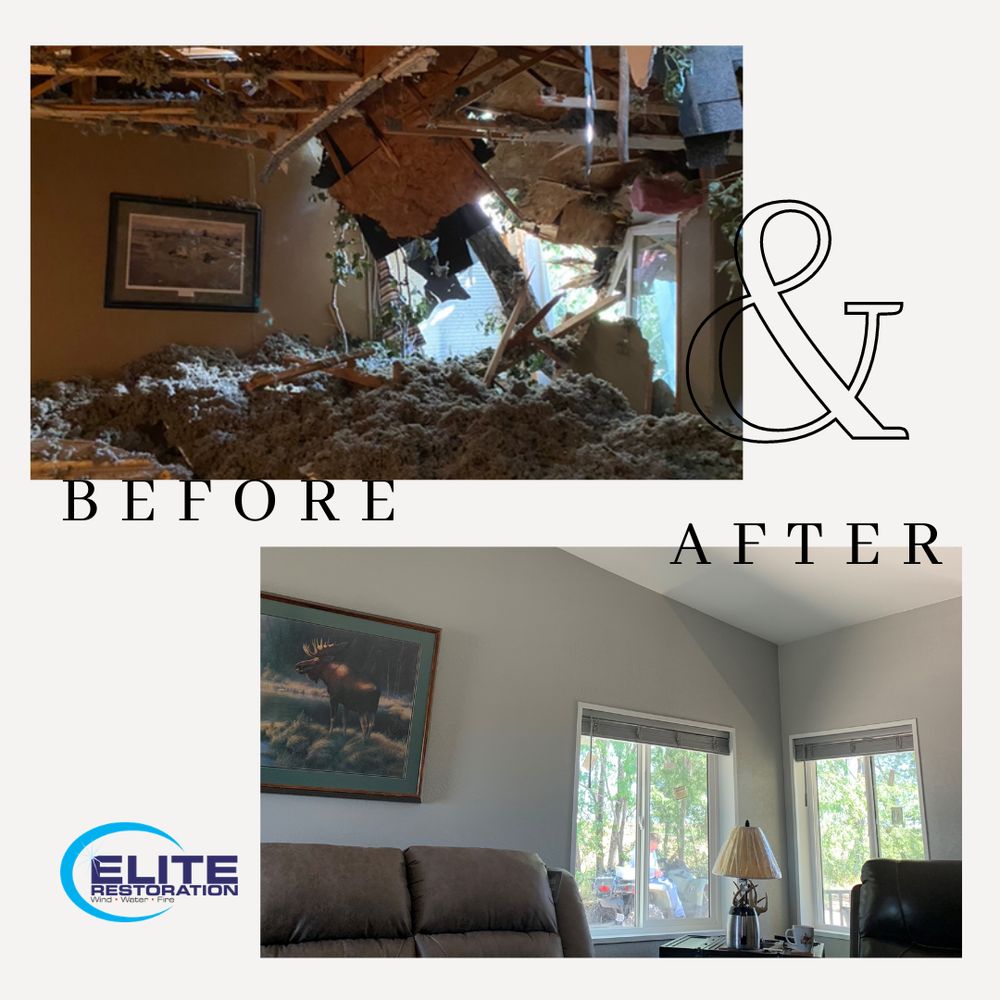 ELITE RESTORATION - BELLEVUE - Request a Quote - 16 Photos - 621 S Main ...