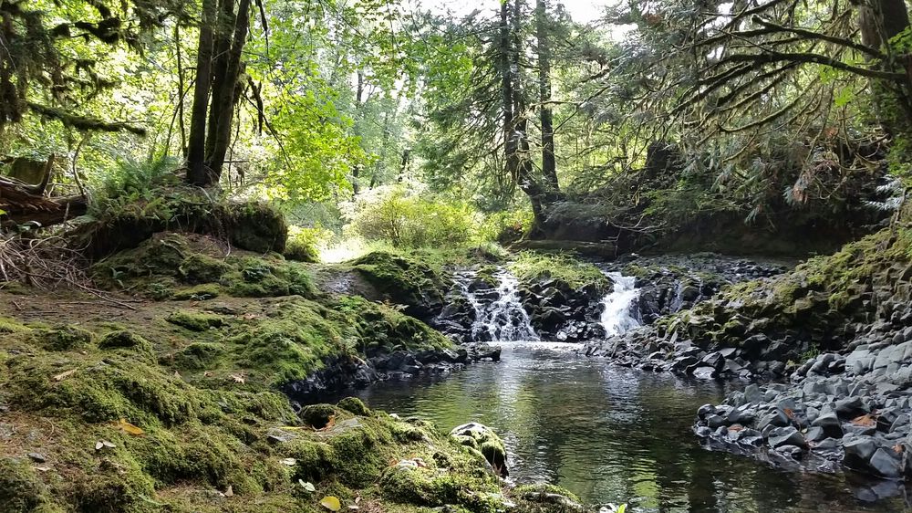KENNEDY FALLS TRAILHEAD - Updated October 2025 - Summit Lake Shore Rd ...