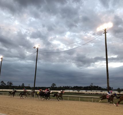 DELTA DOWNS RACETRACK, HOTEL & CASINO - 142 Photos & 65 Reviews - 2717 ...