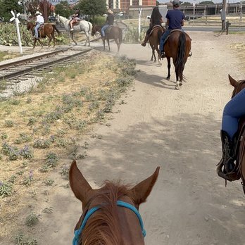 FORT WORTH STOCKYARDS STABLES - Updated October 2025 - 128 Photos & 51 ...