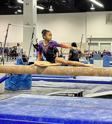 NEXT LEVEL GYMNASTICS - Updated January 2025 - 46 Photos & 17 Reviews ...