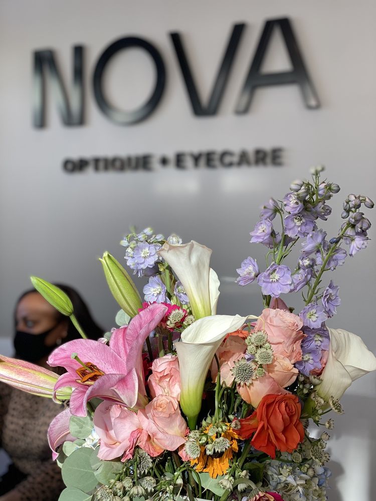 NOVA OPTIQUE + EYECARE - Updated February 2025 - 672 N Glebe Rd ...