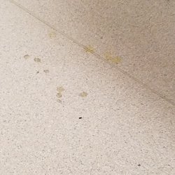 SENTARA NORTHERN VIRGINIA MEDICAL CENTER - 32 Photos & 163 Reviews ...