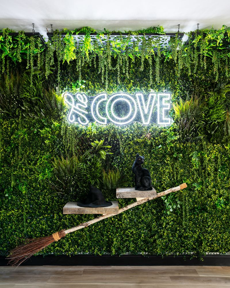 THE COVE AT SALEM - Updated January 2026 - 116 Photos & 19 Reviews - 40 ...