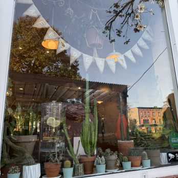 CAFÉ DEAR LEON - Updated April 2025 - 939 Photos & 335 Reviews - 2929 O ...