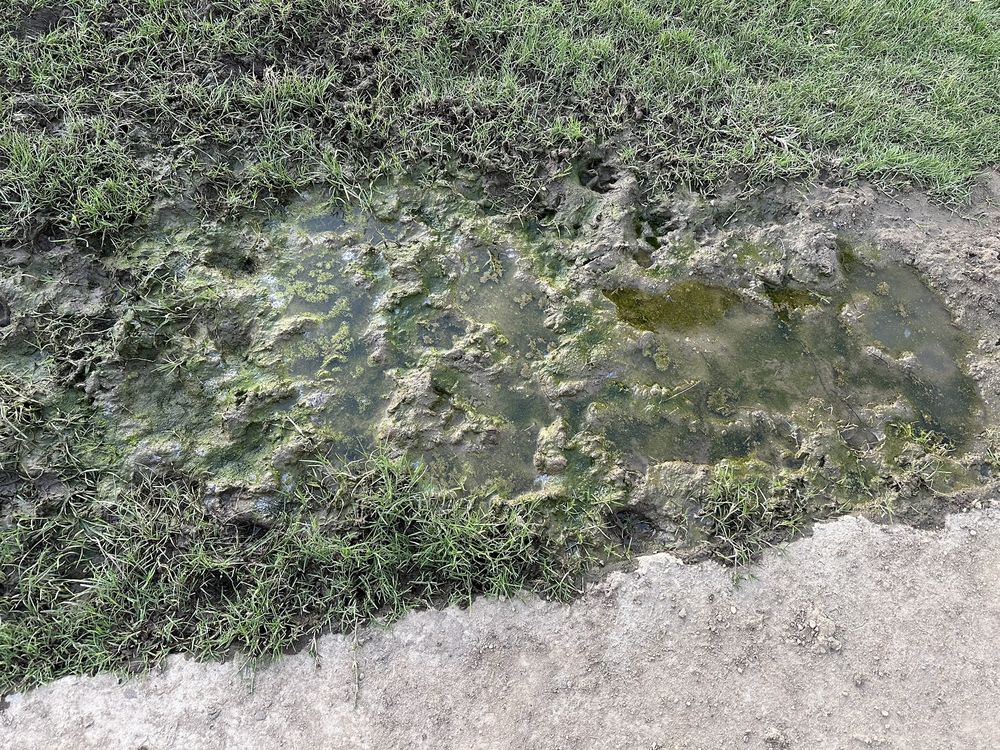 FLETCHER PARK - Updated May 2025 - 19 Photos & 11 Reviews - Fletcher ...