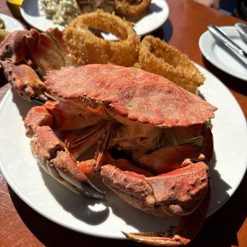 SANTA BARBARA SHELLFISH COMPANY - Updated August 2024 - 6062 Photos ...
