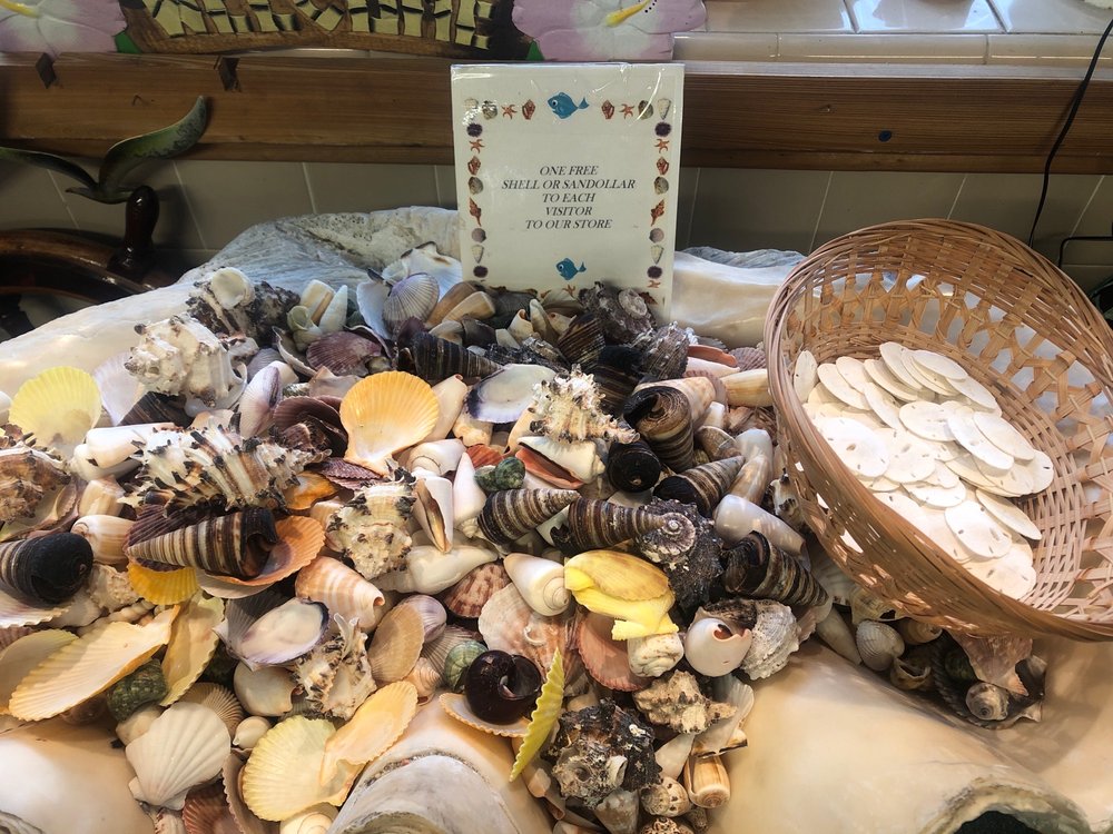 KELLY’S SHELL SHACK - Updated May 2025 - 21 Photos & 20 Reviews - 1302 ...