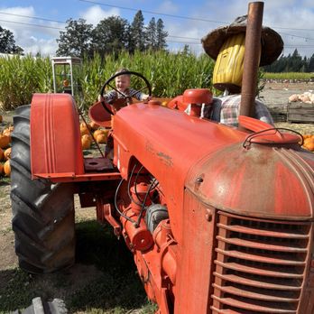 YESTERYEAR FARMS - Updated October 2025 - 200 Photos & 114 Reviews ...