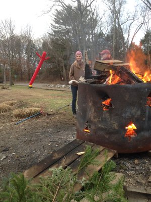 SABIA TREE FARM - Updated December 2025 - 772 Morehouse Rd, Easton ...